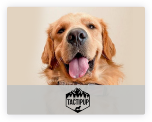 eCommerce Case Study: Tactipup | Inflow