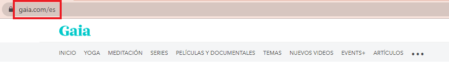 International SEO Case Study: 41% Increase in Subscriptions