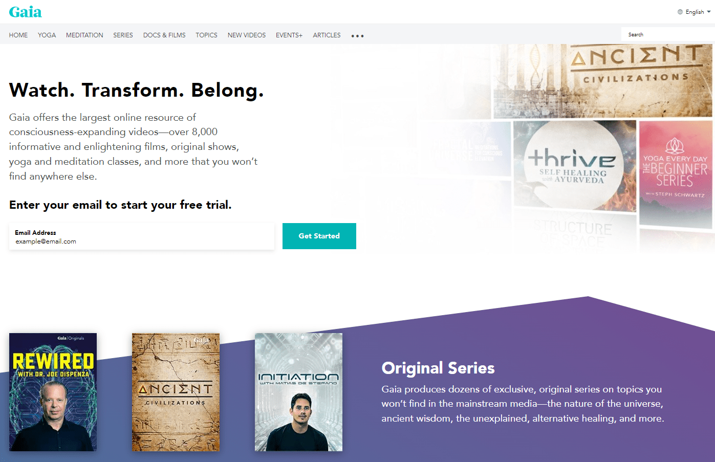 International SEO Case Study: 41% Increase in Subscriptions