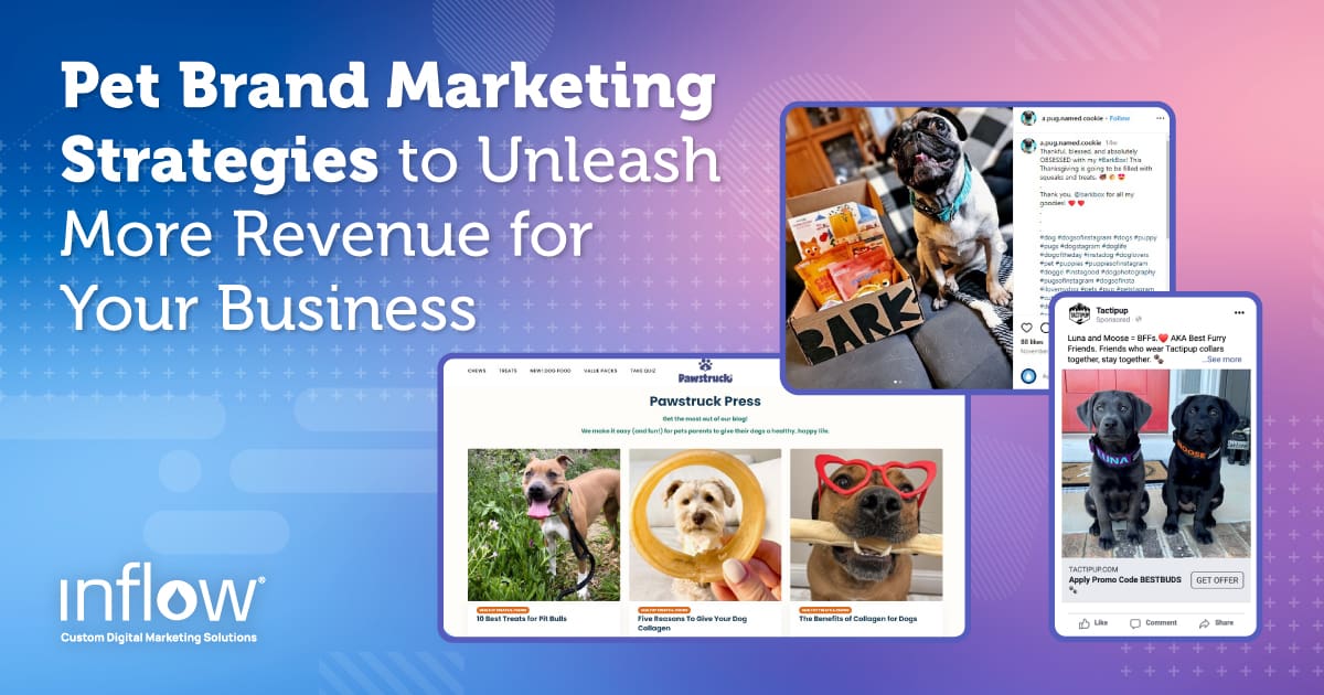 9 Pet Marketing Ideas to Unleash More Sales for Your Business