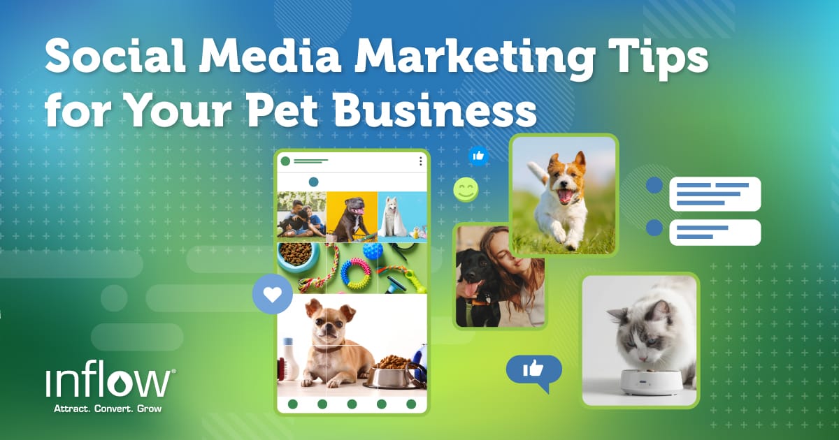 7 Pet Brand Social Media Marketing Strategies to Increase Sales